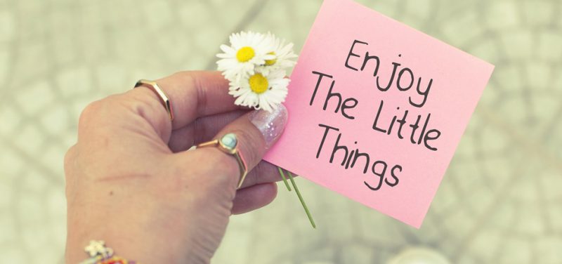 O Prazer das Coisas Simples - José Roberto Marques - Presidente do IBC ...