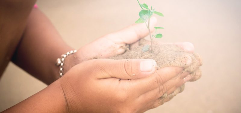 Ressignificar é Aprender a Dar Novo Sentido à Vida! - José Roberto ...