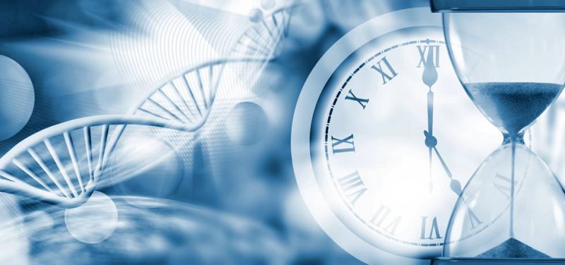 Gene clock e o relógio biológico - José Roberto Marques - Presidente do ...